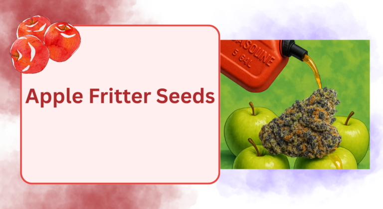 Apple Fritter Seeds for Sale: Premium Genetics for Modern Growers ...